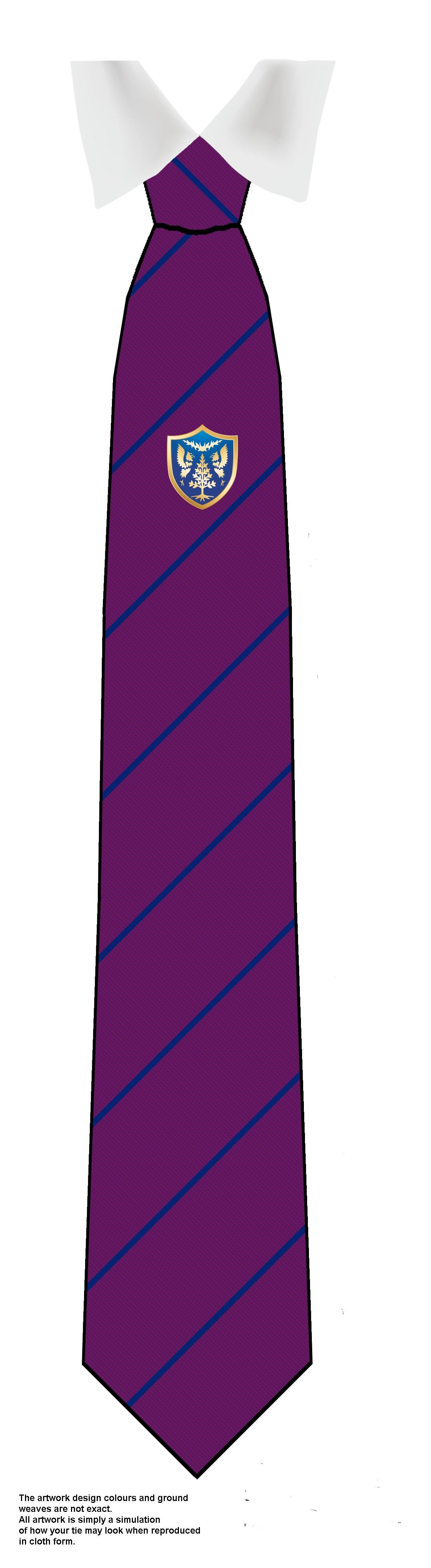 THE STREETLY ACADEMY TIE (NEW) – Clive Mark