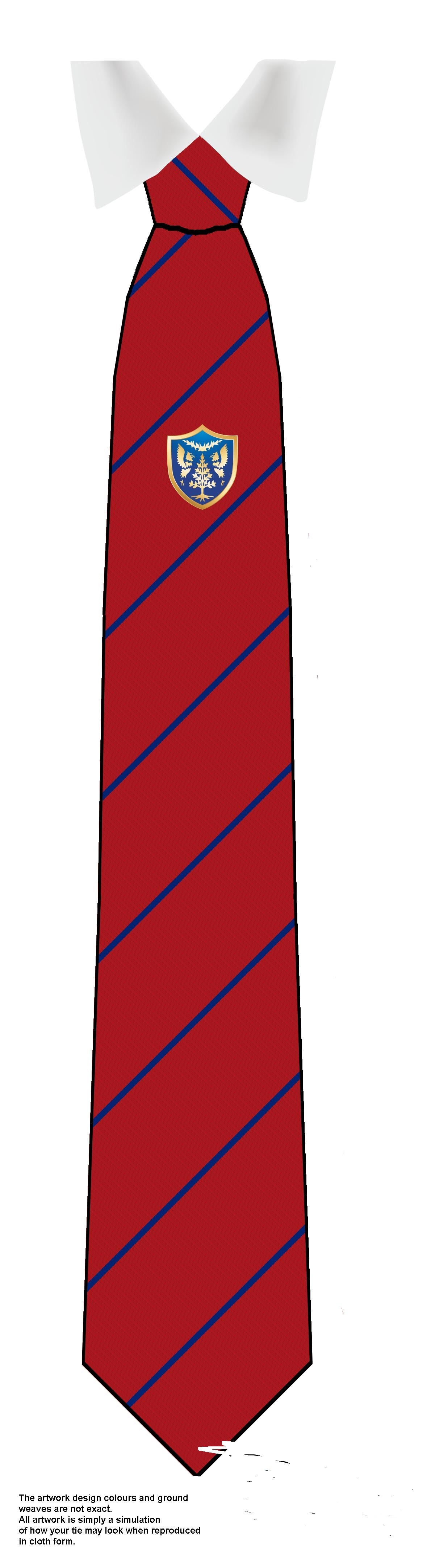 THE STREETLY ACADEMY TIE (NEW) – Clive Mark