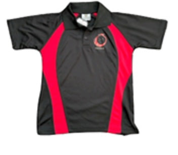 PHOENIX COLLEGIATE PE POLO – Clive Mark