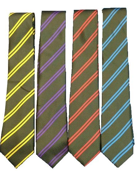 GEORGE SALTER ACADEMY HOUSE TIE – Clive Mark